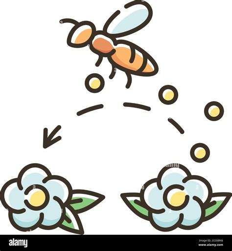 Pollination Rgb Color Icon Stock Vector Image And Art Alamy