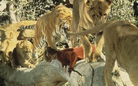 Long Before Tiger King There Was Roar The Most Dangerous Movie