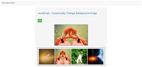 JavaScript Dynamically Change Background Image SourceCodester