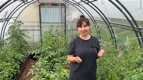 ВАЖНАЯ ПОДКОРМКА ТОМАТОВ ВО ВРЕМЯ ЦВЕТЕНИЯ ДЛЯ УВЕЛИЧЕНИЯ УРОЖАЯ Youtube