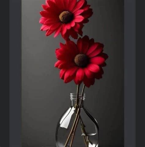 ‎محل نون فرع شارع 20‎ Added A New Photo محل نون فرع شارع 20