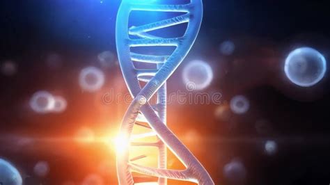 Dna Strand 3d Animation Stock Footage Video Of Medical 336604686
