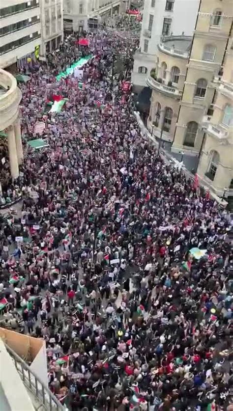 В Лондоне проходит масштабная пропалестинская демонстрация