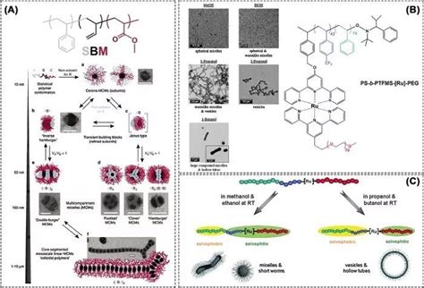 四川大学冯玉军课题组prog Poly Sci ：刺激响应聚合物蠕虫状胶束 搜狐大视野 搜狐新闻