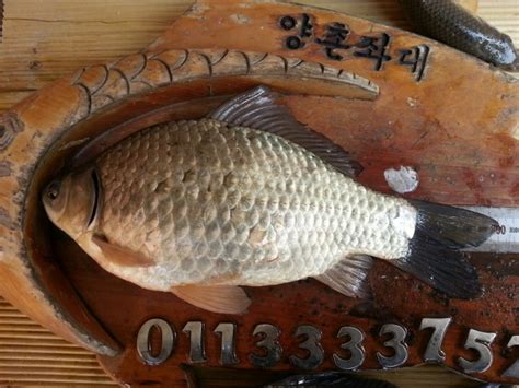 연못낚시터