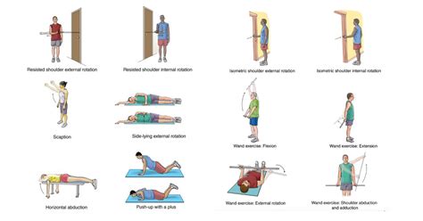 Isometric Shoulder Exercises Handout