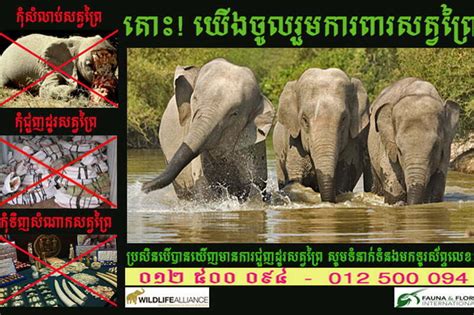 Reducing Threats To Elephants And Mitigating Human Elephant Conflict Contributing To The