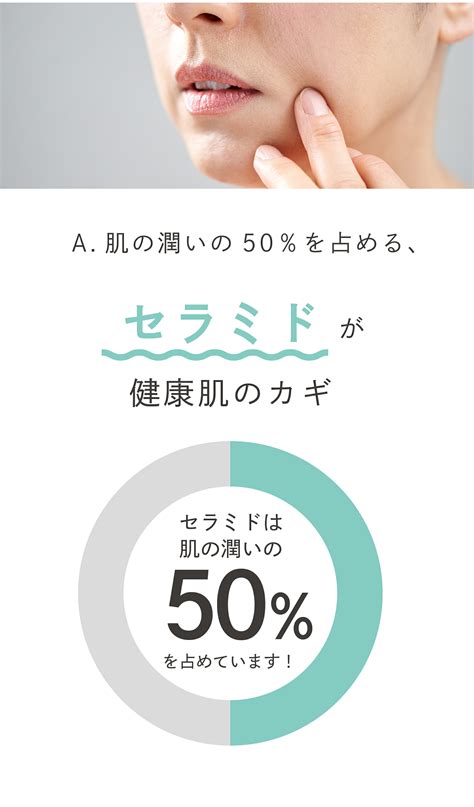 【楽天市場】【公式】everyskin スキンジェル ジェル状化粧水 ヒト型セラミド セラミド 保湿 乾燥肌 敏感肌 肌あれ 全身 日本製 スキンケア エブリースキン 化粧水 ジェル