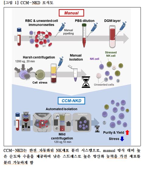 혈액 속 ‘nk 세포 고효율 자동화 분리 기술 개발 암 치료 등 선천 면역 치료제 상용화 기대약품신문
