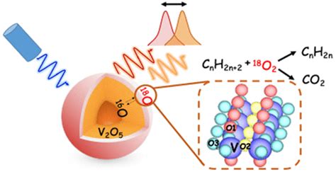 Vanadium Atom Model Project