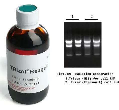 Trizol Rna Isolation Reagent Buy Trizol Rna Isolation Reagent Tri Reagent Product On Alibaba Com
