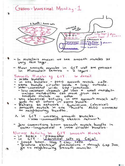 Dr Najeeb Git And Jaundice Pdf