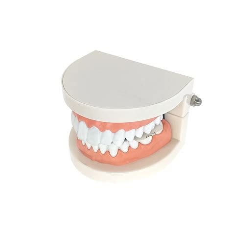 Bite Wing Tabs Reliable Dental X Ray Positioning Aid Tribest Dental