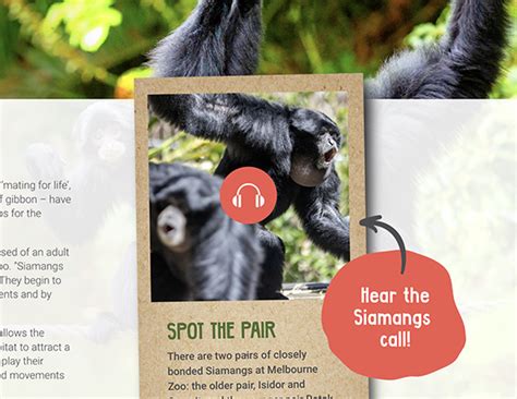 Audio Works On Preview But Not Published Custom Code Readymag Forum