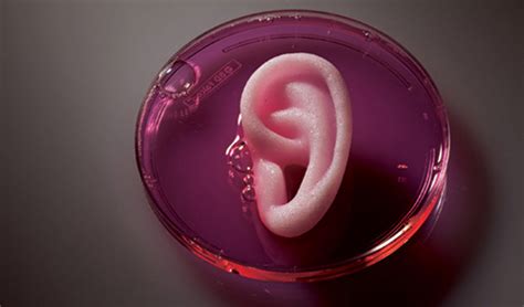 Is 3d Bioprinting The Future Of Tailor Made Medicine 3dnatives