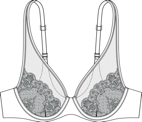 Lace Cup Bra Illustration Editable Lingerie Flat Sketchprint 3331062
