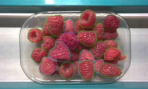 The RaspGrade Dataset Towards Automatic Raspberry Ripeness Grading With Deep Learning AI