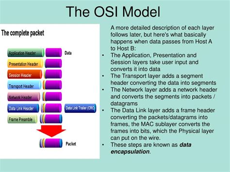 ppt chapter 2 networking standards and the osi model powerpoint
