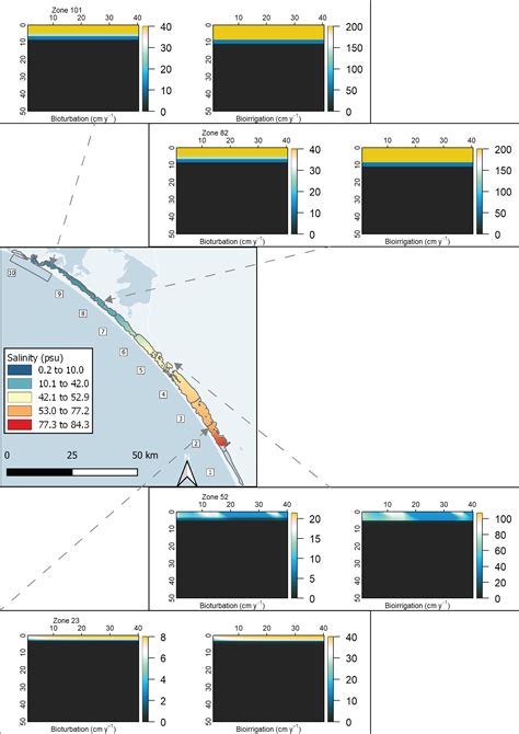 7 Sediment Biogeochemistry The Coorong Dynamics Model