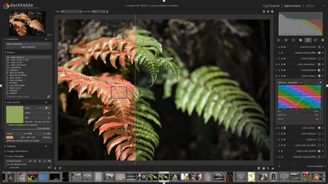 Top Alternatives To Adobe Photoshop Techspot