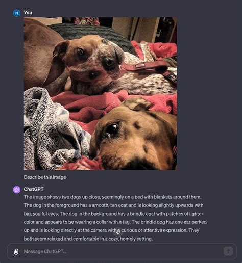 This Image Stumped My Human Brain Back In The Day And ChatGPT Figured It Out Immediately R