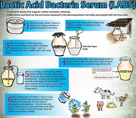Natural Farming Inputs Artofit