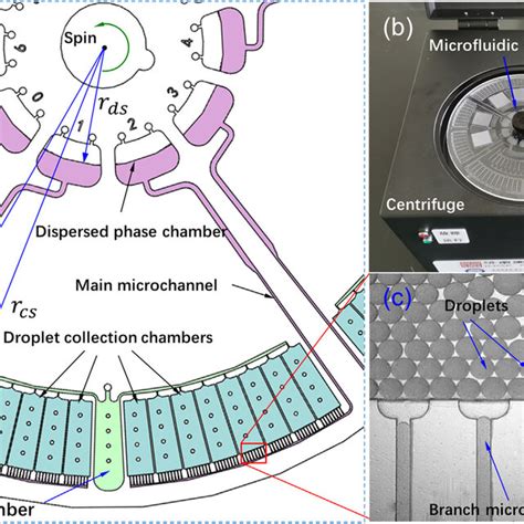 Configuration Of The Centrifugal Step Emulsification System A Download Scientific Diagram