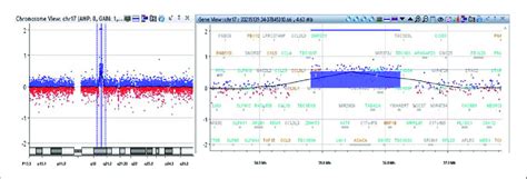 Array Cgh For Chromosome 17 In Case 11 Data Analysis By Cytogenomics