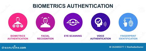Biometrics Authentication Facial Stock Vector Illustration Of Website Trendy 263485377