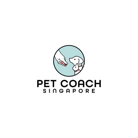 How Hydrotherapy Benefits Your Dog Pet Coach Sg