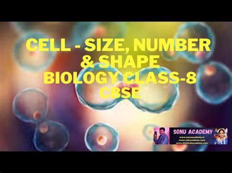 Cell Number Size And Shape Cell Structure And Functiions BIOLOGY CLASS 8 CBSE Cell