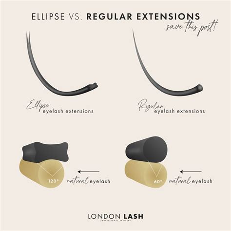 What Are The Different Types Of Eyelash Extensions Eyelash Extensions Eyelashes Lash Extensions