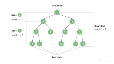 71 Binary Tree Hello Algo