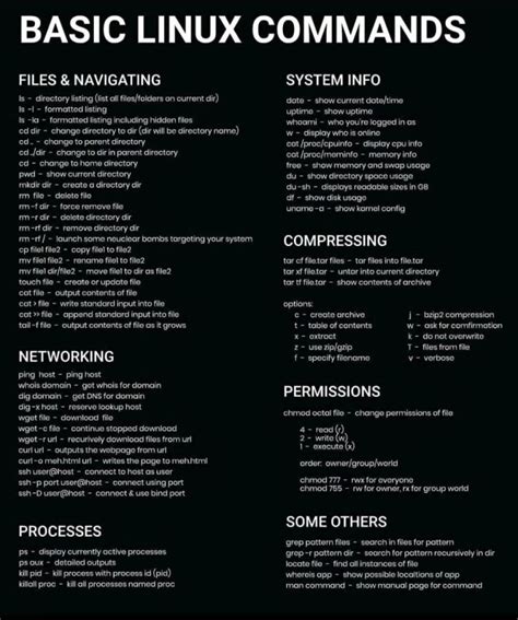 Shahab Amjadi On Linkedin Kalilinux Commandline Linux Kali