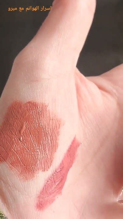 ريفيو روج ساندرا Sandra Lip Gloss Matte Youtube