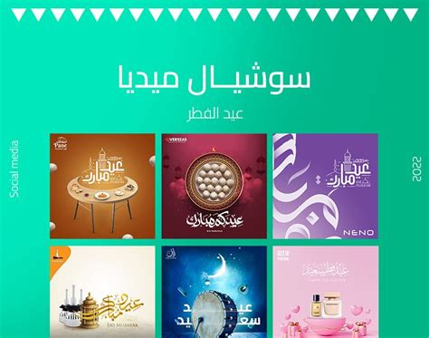mohamed senosy posted on linkedin