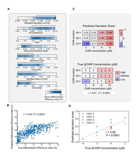 A Live Cell Image Based Machine Learning Strategy To Monitor Pluripotent Stem Cell Differentiation