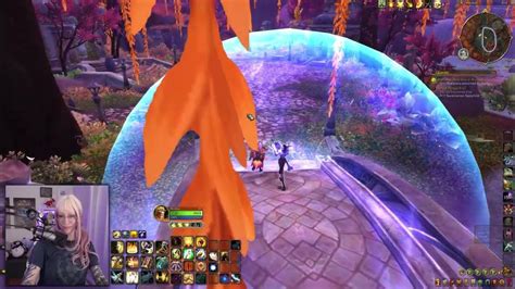 Getting The Paladin Class Mount Youtube
