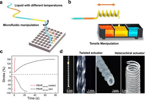 Hollow Fibre Actuators For Microfluidic Manipulation A Schematic Of A Download Scientific