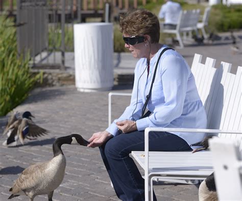 Bionic Eye Could Help The Blind See