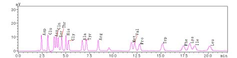 N Terminal Sequence Analysis Service Mtoz Biolabs