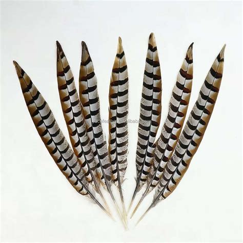 Natural Reeves Dyed Pheasant Tail Feathers 40 45cm Xinyuling Brand