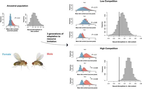 Sexual Dimorphism In Diet Content Evolved From A Monomorphic Ancestor Download Scientific