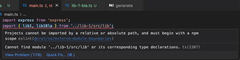lint errors when using generated libraries in standalone node app