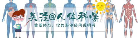 【运动损伤】常见运动损伤检查及处理方法，超实用！（图文解读） 知乎