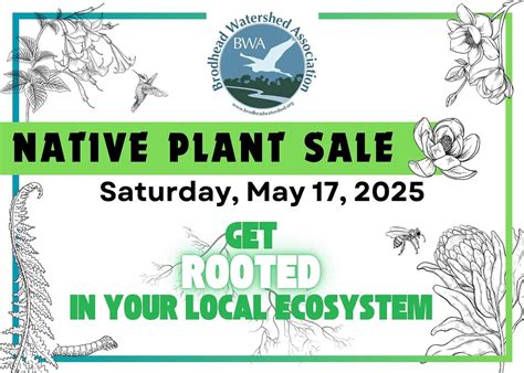 2025 Native Plant Sale Brodhead Watershed Association