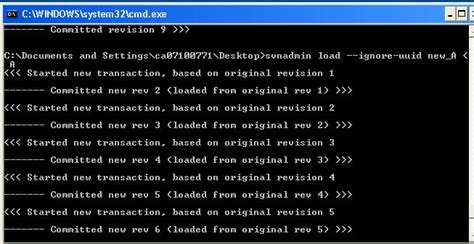 Version Control What Can Be A Reason For Getting Empty Svn Repository