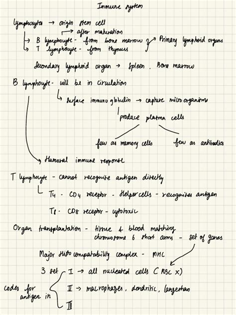 Immunity Notes Pdf Lymphocyte Immune System