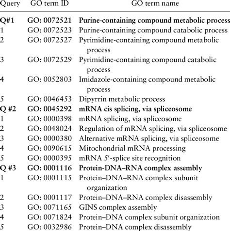 Sense Similarity Results For Three Bp Terms Over Pretrained Embeddings Download Scientific Diagram