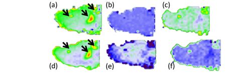 fig s2 spatially resolved maps of d and g band regions of the raman